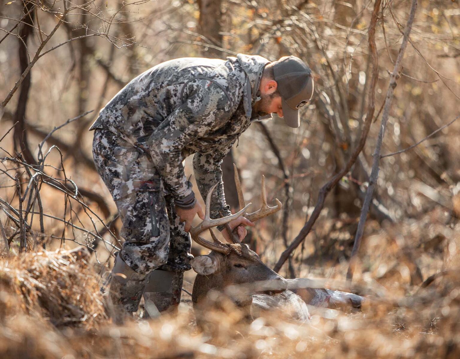 Deer Hunting Tips for Beginners | onX Hunt