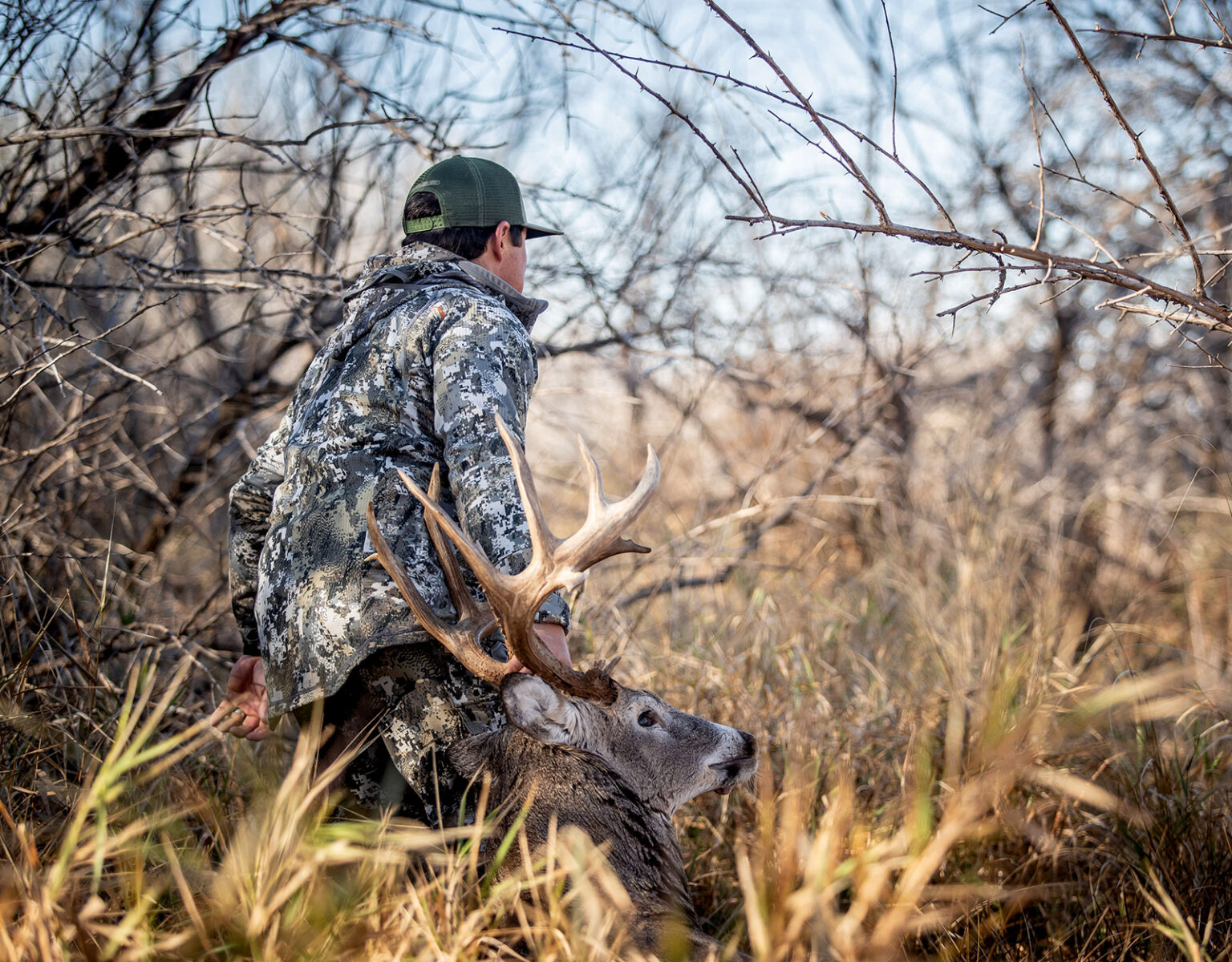2024 Rut Predictions | Deer Rut Season Tips From Experts | onX Hunt