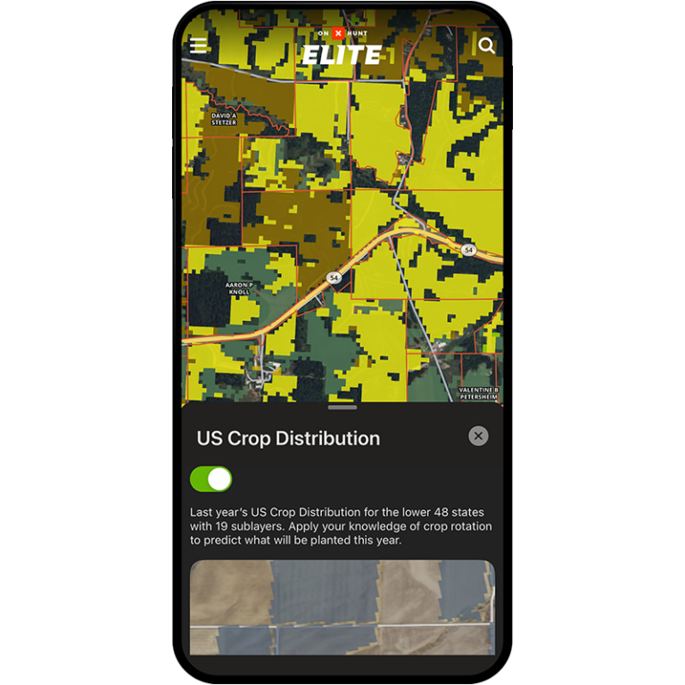 2024 Rut Predictions | Deer Rut Season Tips From Experts | onX Hunt