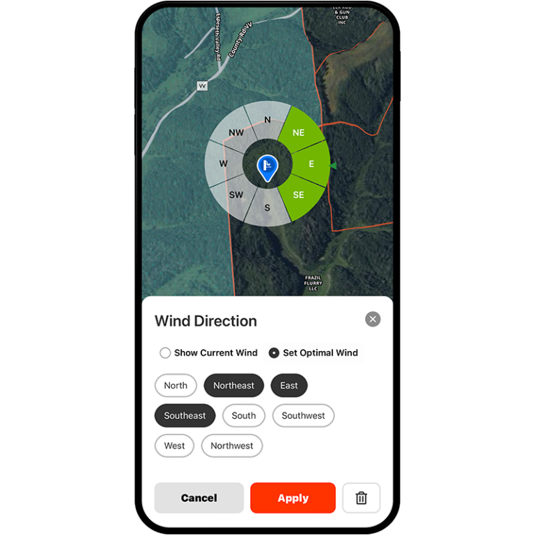 Wild Hog Hunting | Plan Your Hunt With Expert Tips