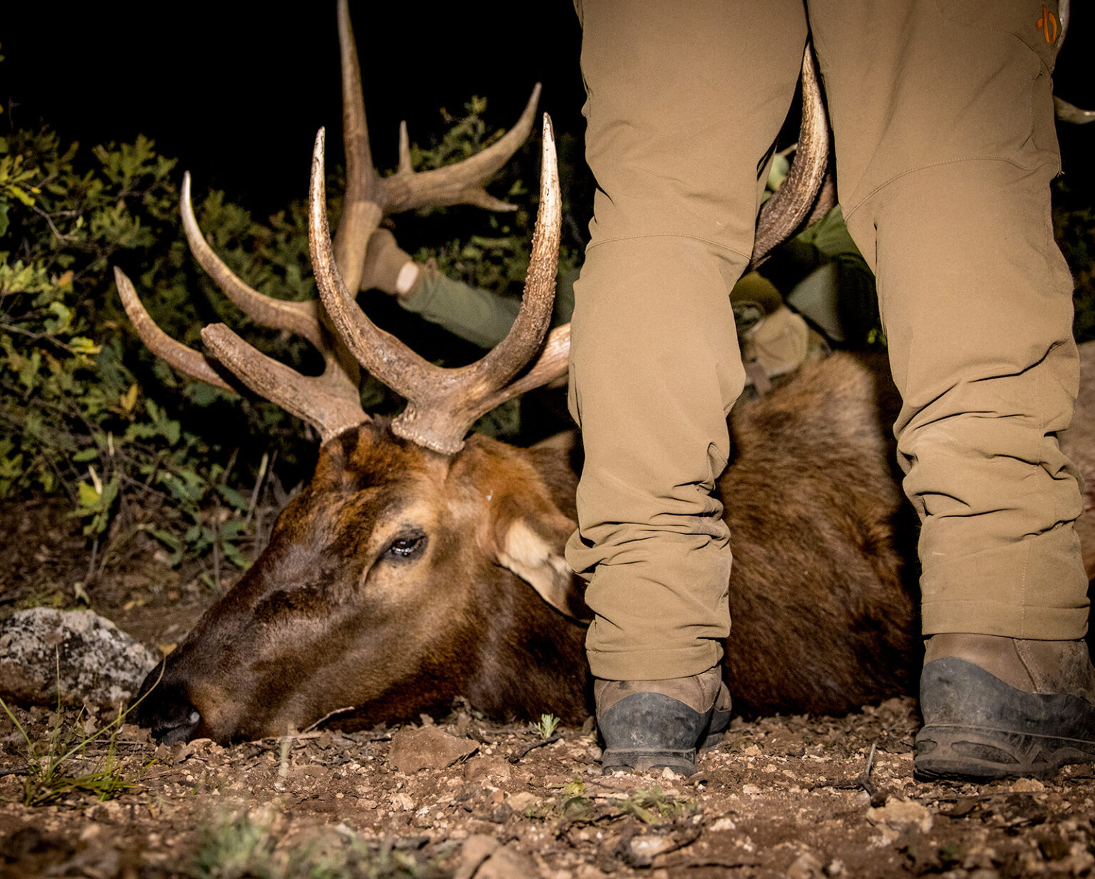 Arizona Hunting Season Guide 2025: Deer, Elk, and More | onX Hunt