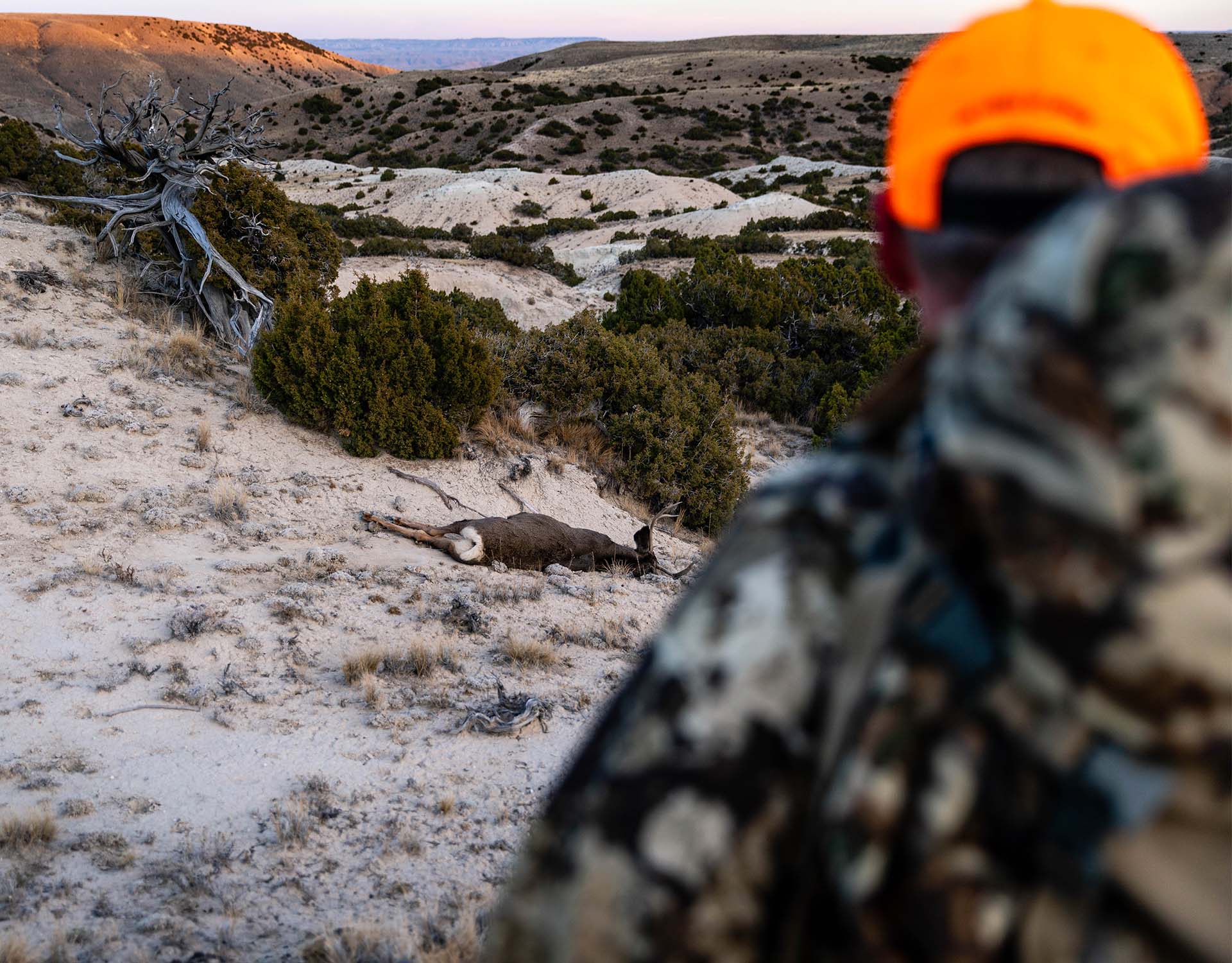 Muzzleloader Hunting: Techniques, Challenges, and Regulations | onX Hunt