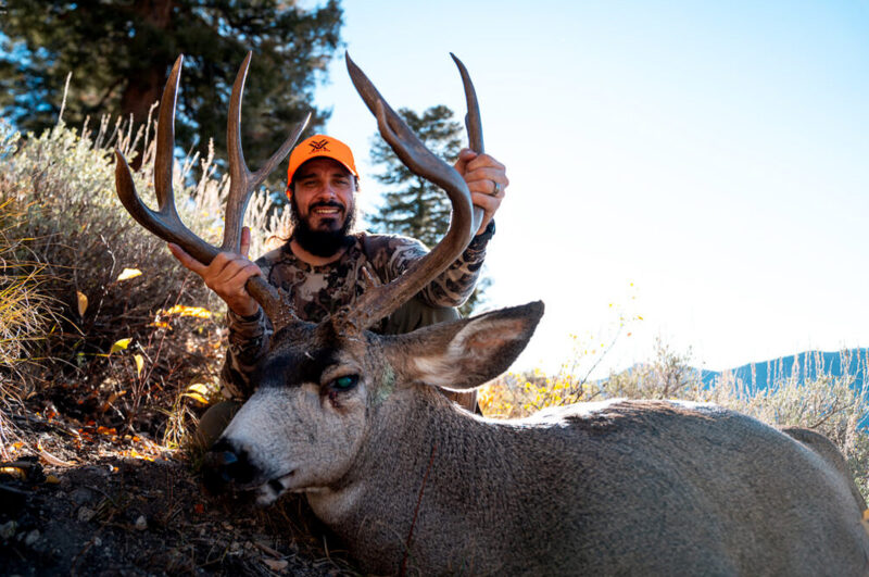 October Mule Deer Hunting: Tips for Mountain Success | onX Hunt
