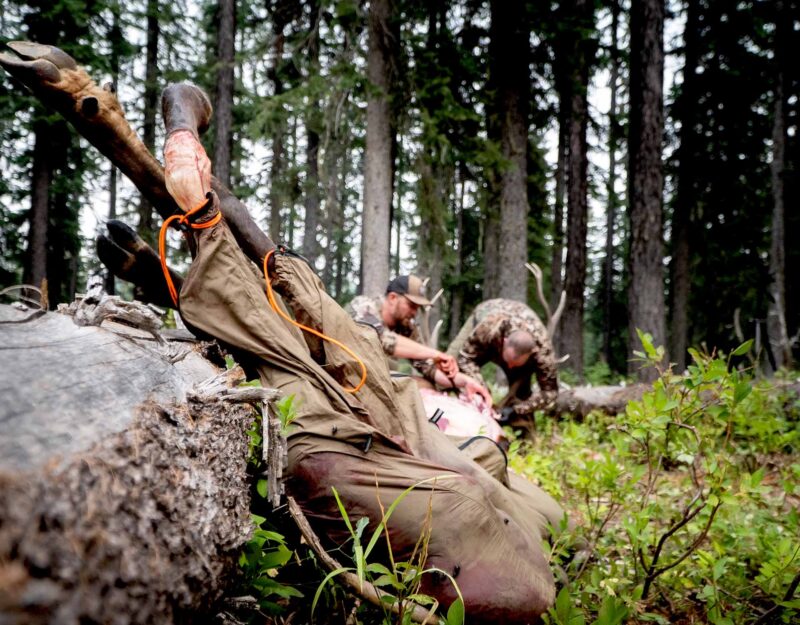 The Gutless Method: Efficiently Quarter an Elk | onX Hunt