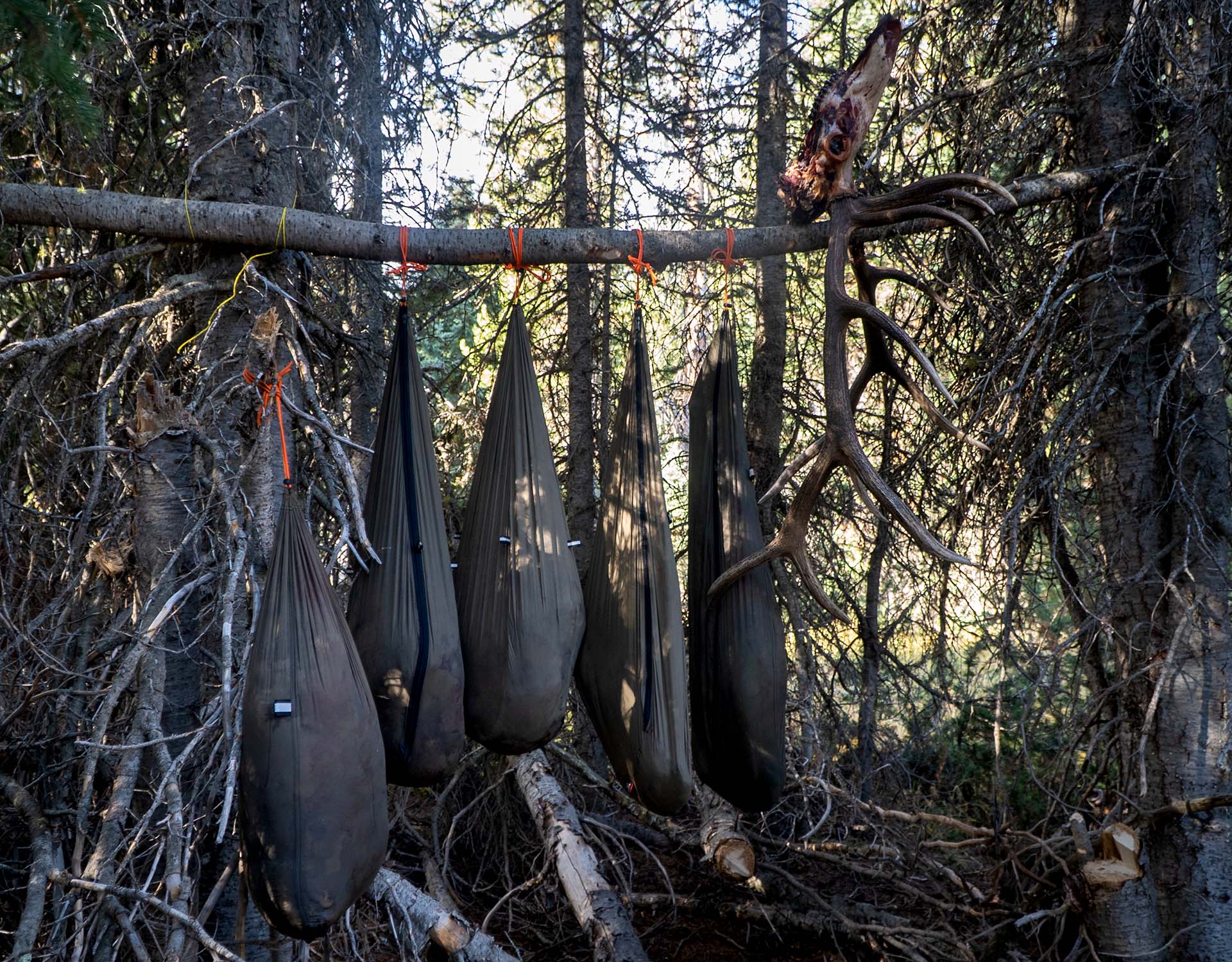 The Gutless Method: Efficiently Quarter an Elk | onX Hunt