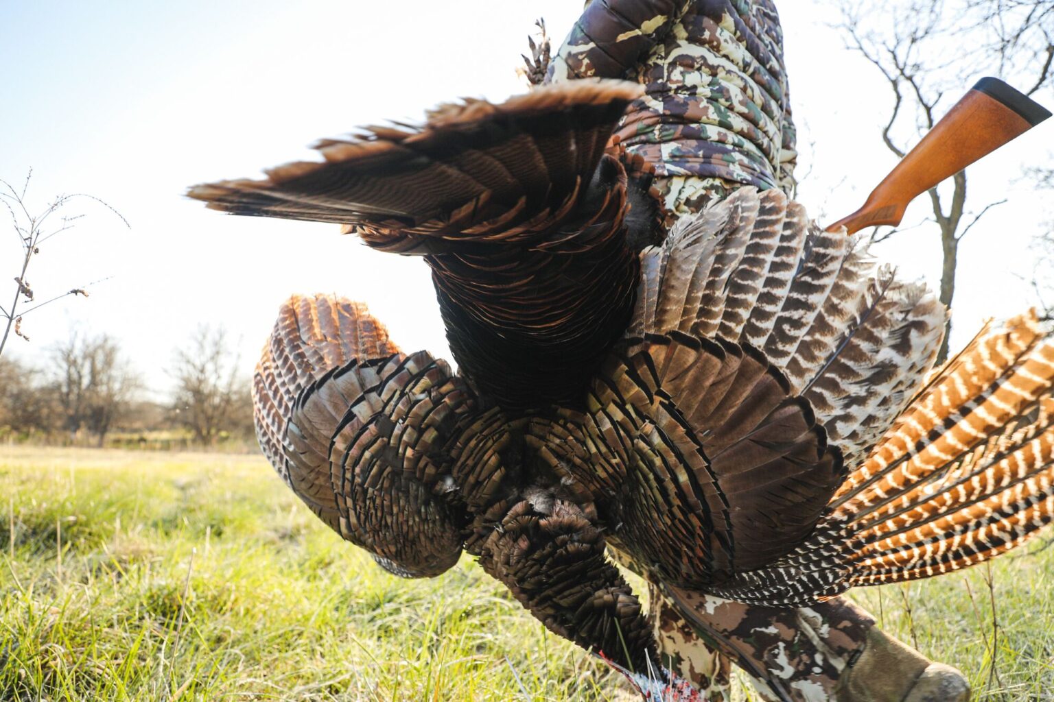 onX Hunt Masterclasses - Learn How to Use onX Hunt