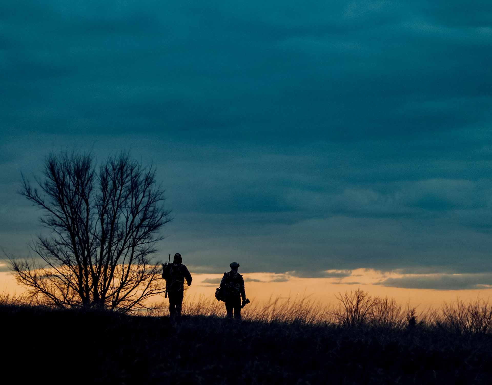 Find More Turkeys | How To Roost a Turkey | onX Hunt