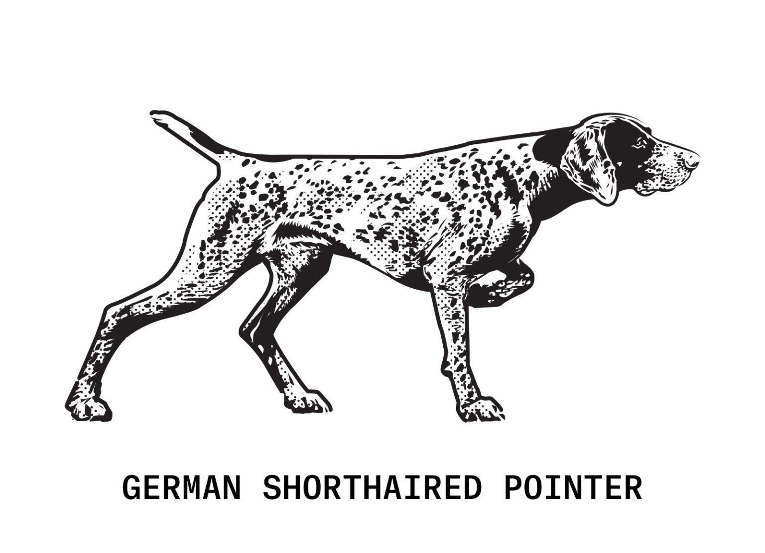 Best Hunting Dog Breeds for Every Bird | Upland Gun Dogs Guide