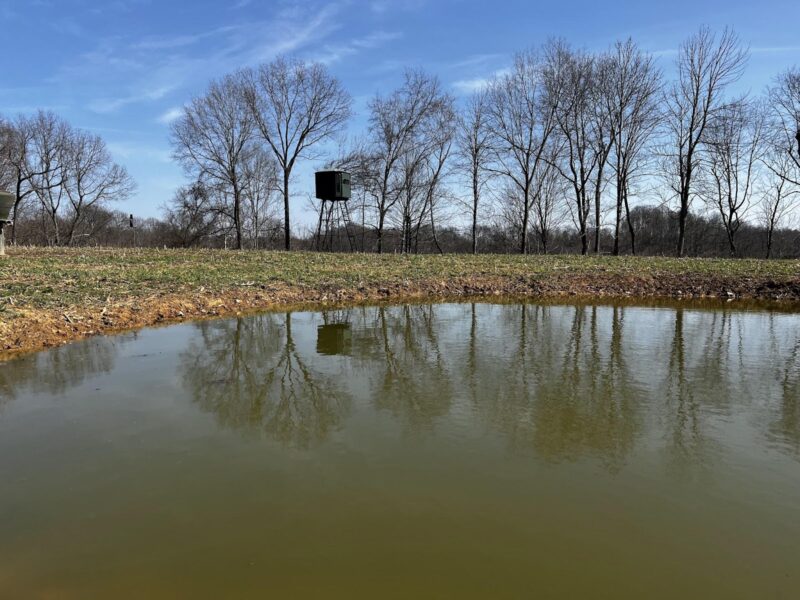 Watering Deer | Make a Watering Hole for Deer | onX Hunt