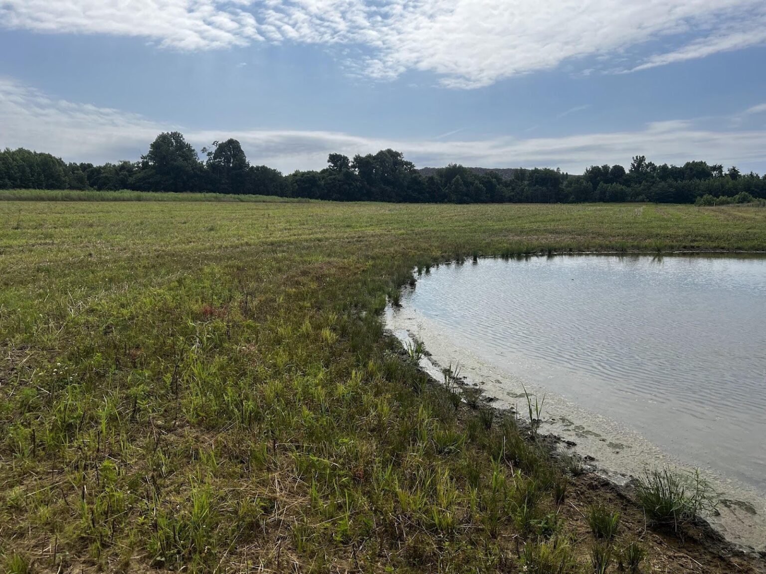 Watering Deer | Make a Watering Hole for Deer | onX Hunt