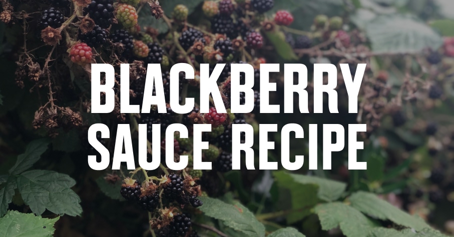 Blackberry Sauce | Wild Berries