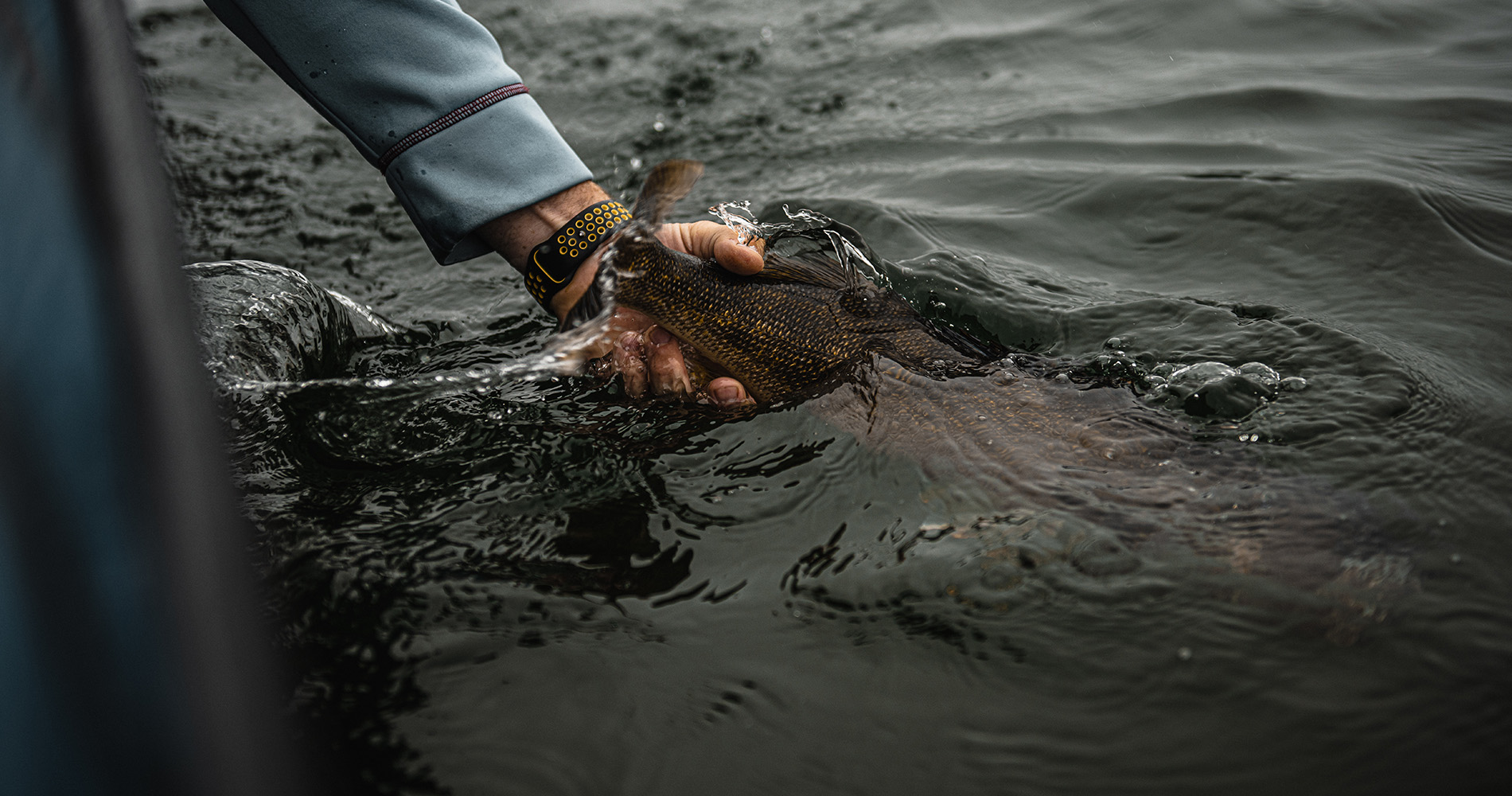 Fishing Near You - Detailed Lake Maps, Public Access & More - onX Fish