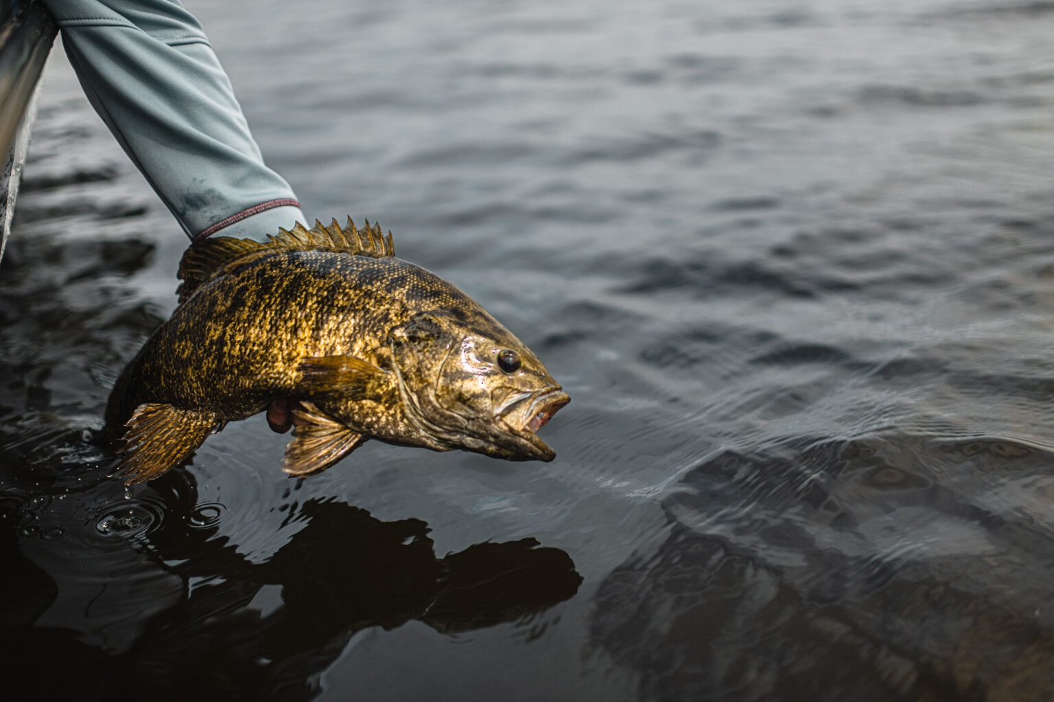 Top Fishing Expos and Conferences to Attend in 2025 | onX Fish