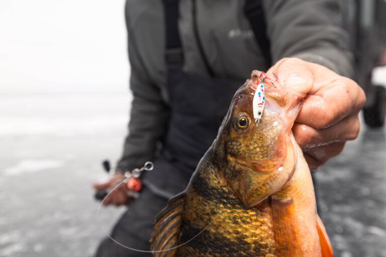 Using onX Fish Premium Filters to Catch More Fish This Winter - onX Fish