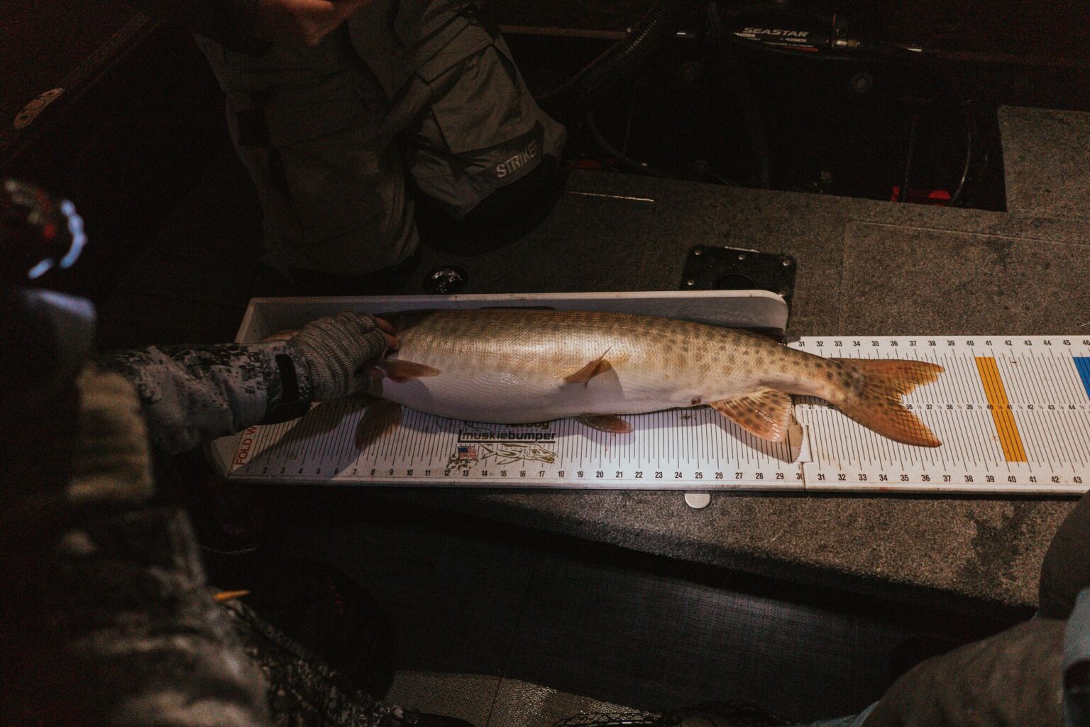 What Is CPUE? Understanding Fishery Data - onX Fish