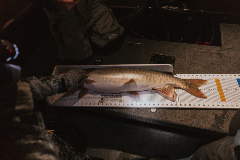 What Is CPUE? Understanding Fishery Data - onX Fish