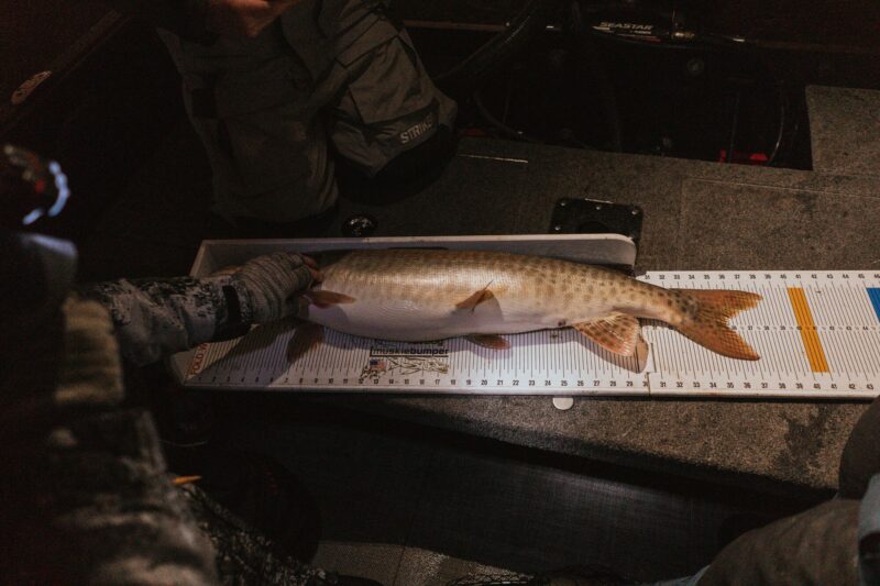 What Is CPUE? Understanding Fishery Data - onX Fish