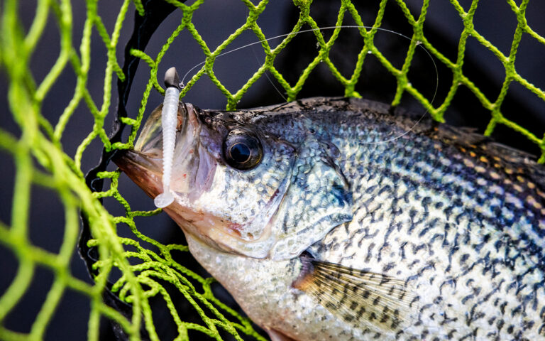 Create Account - onX Fish