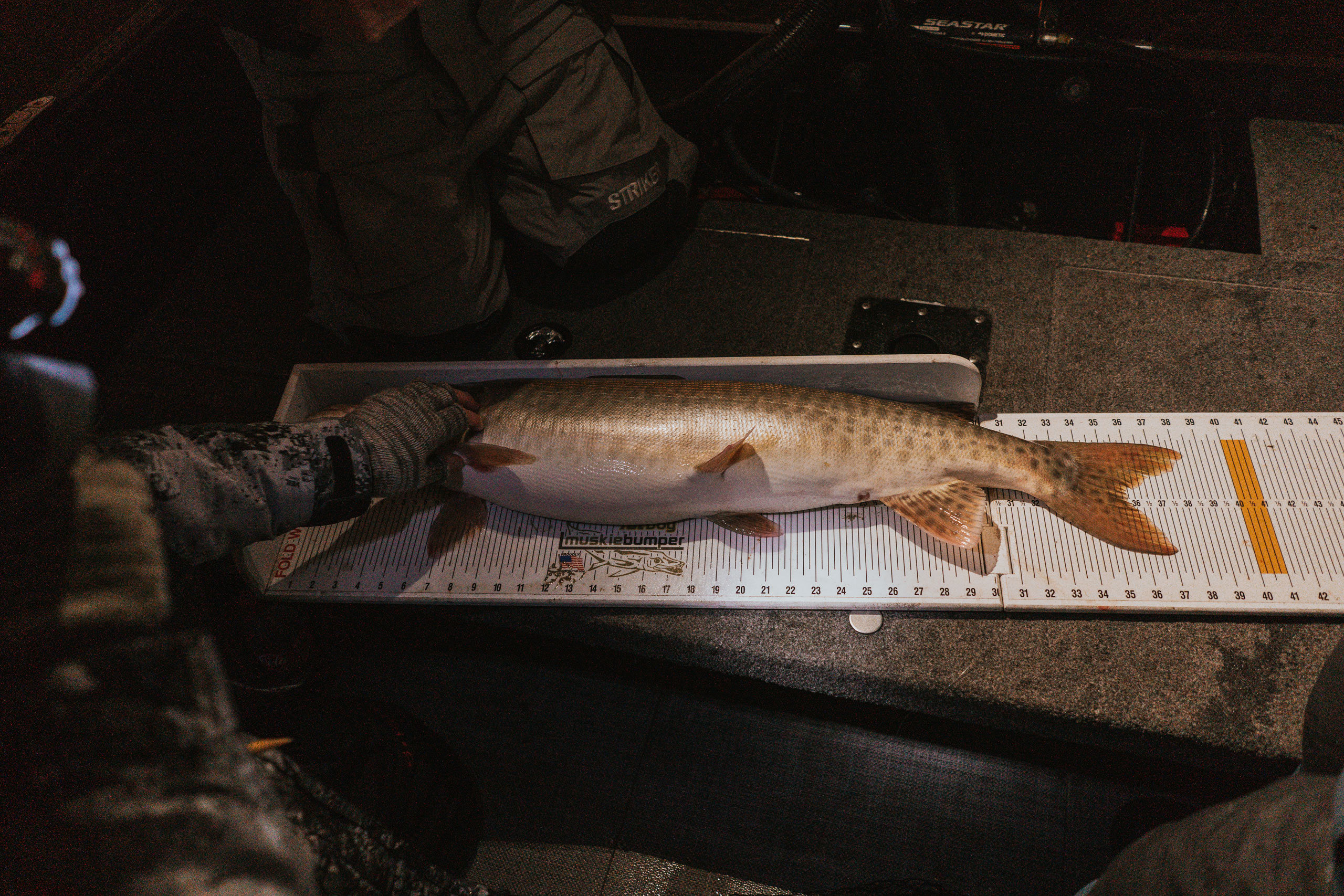 Understanding Fishing Regulations | onX Fish