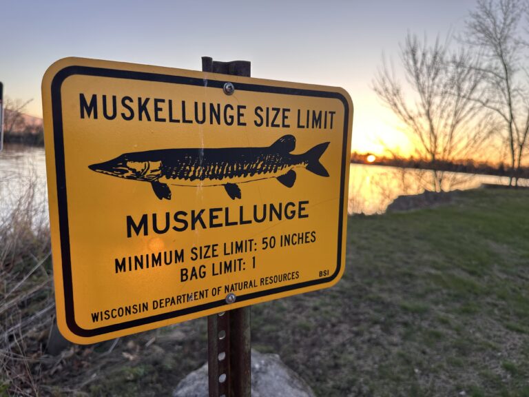 Muskie - Fishing Tips, Habitat & Best Lakes | onX Fish