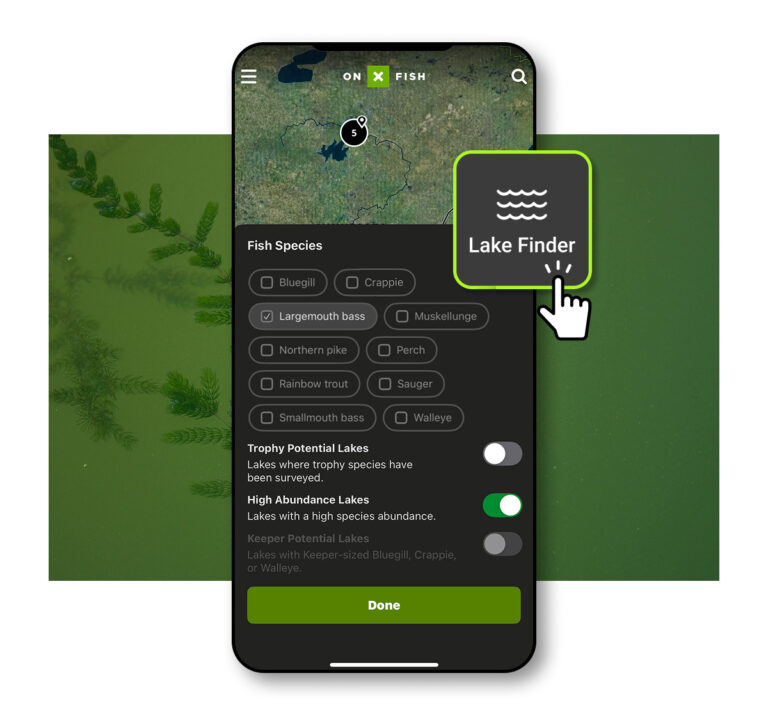 A Guide to Largemouth Bass Fishing: Tips, Gear, & Best Locations - onX Fish