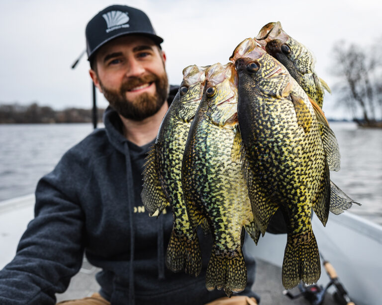 Crappie | Fishing Tips, Habitat & Best Lakes | onX Fish