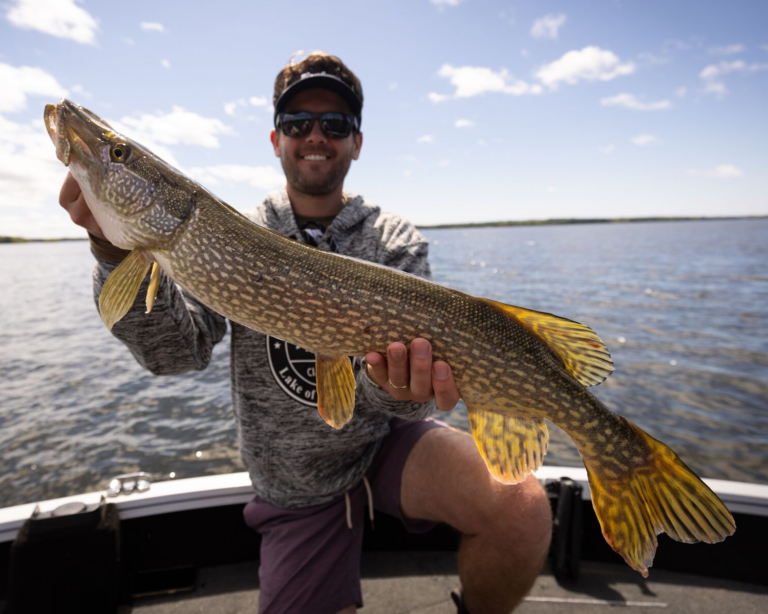 A Guide to Northern Pike Fishing: Tips, Gear, & Best Locations