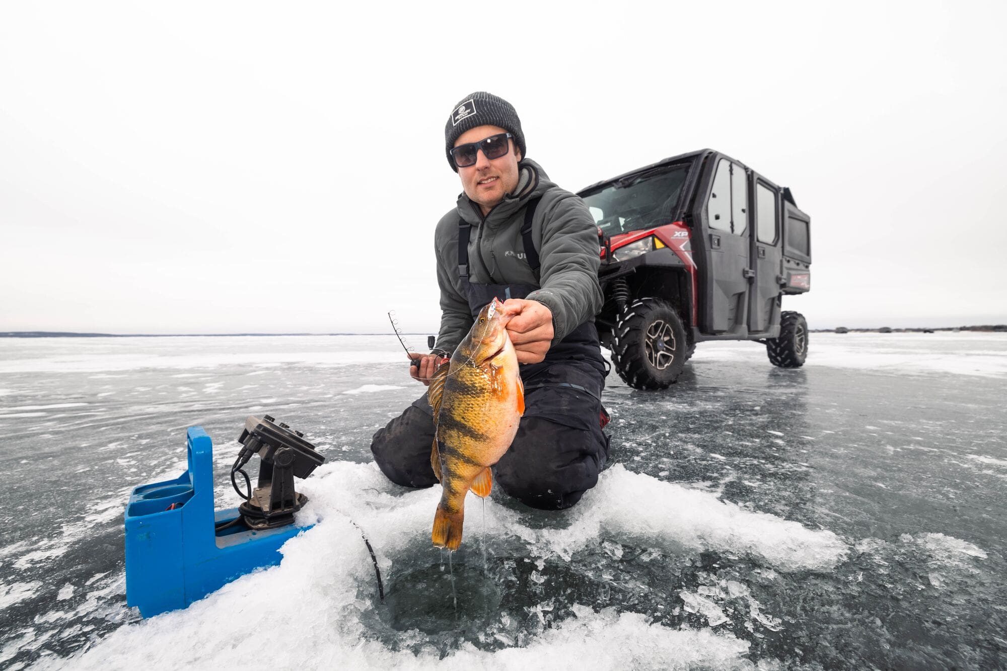 A Guide to Yellow Perch Fish: Tips, Gear, & Best Locations - onX Fish