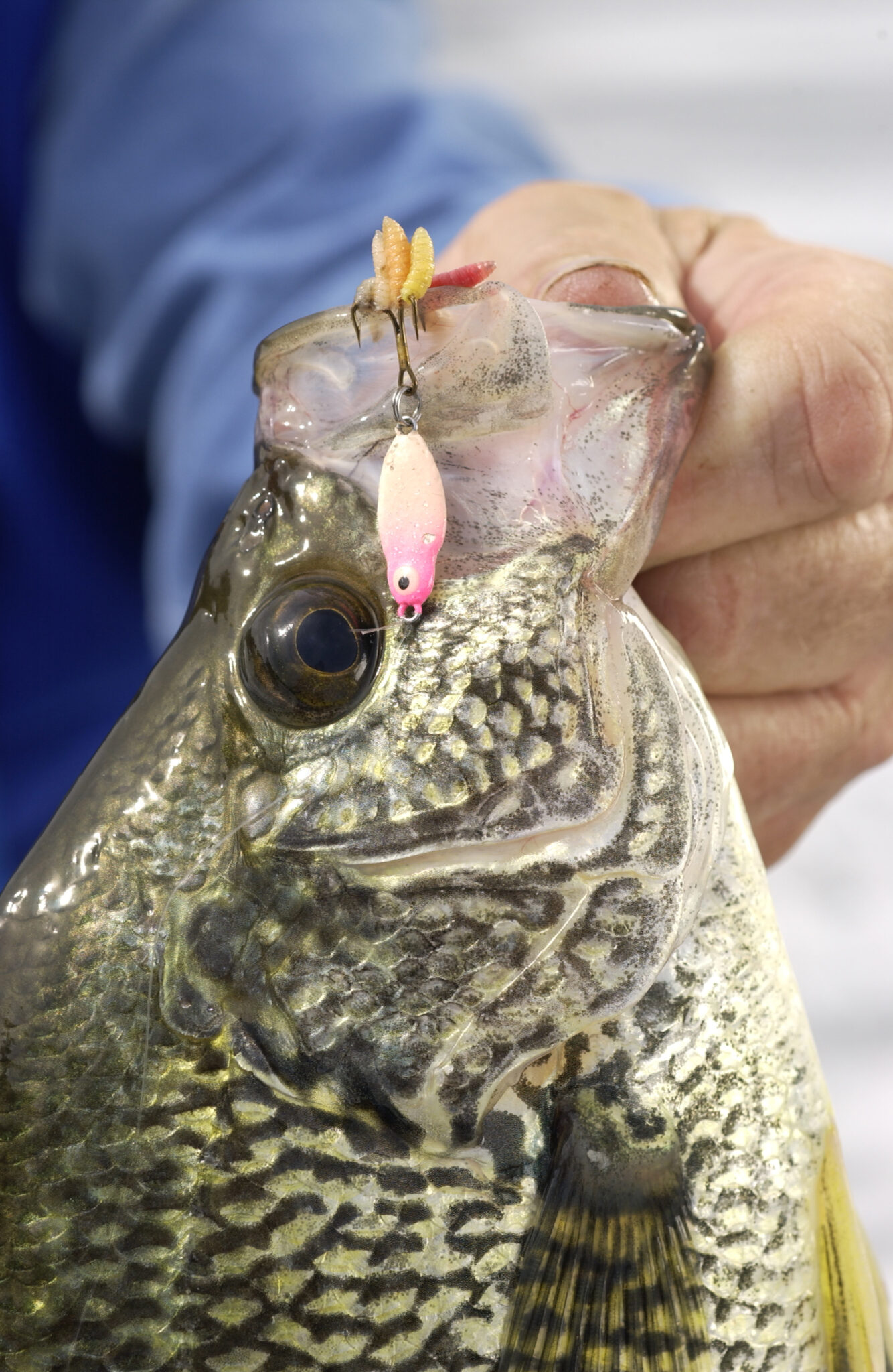 Best Bait for Ice Fishing: Top Live Bait & Lures | onX Fish