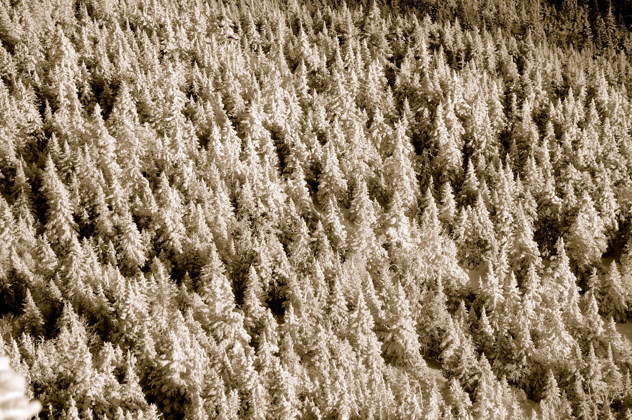 3D Maps for Hiking, Skiing, and Backpacking | onX Backcountry