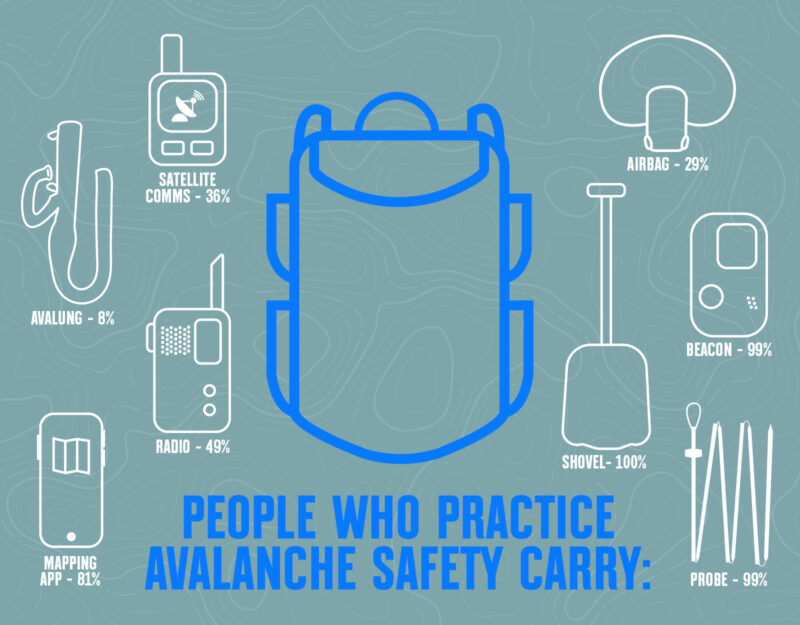 The State of Avalanche Education and Safety—Survey by Backcountry Skiers