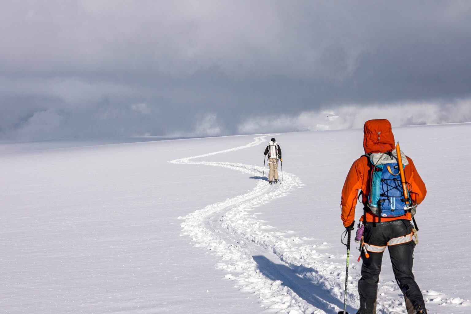 The Fifty Project: The SE Face of Mt Columbia | onX Backcountry