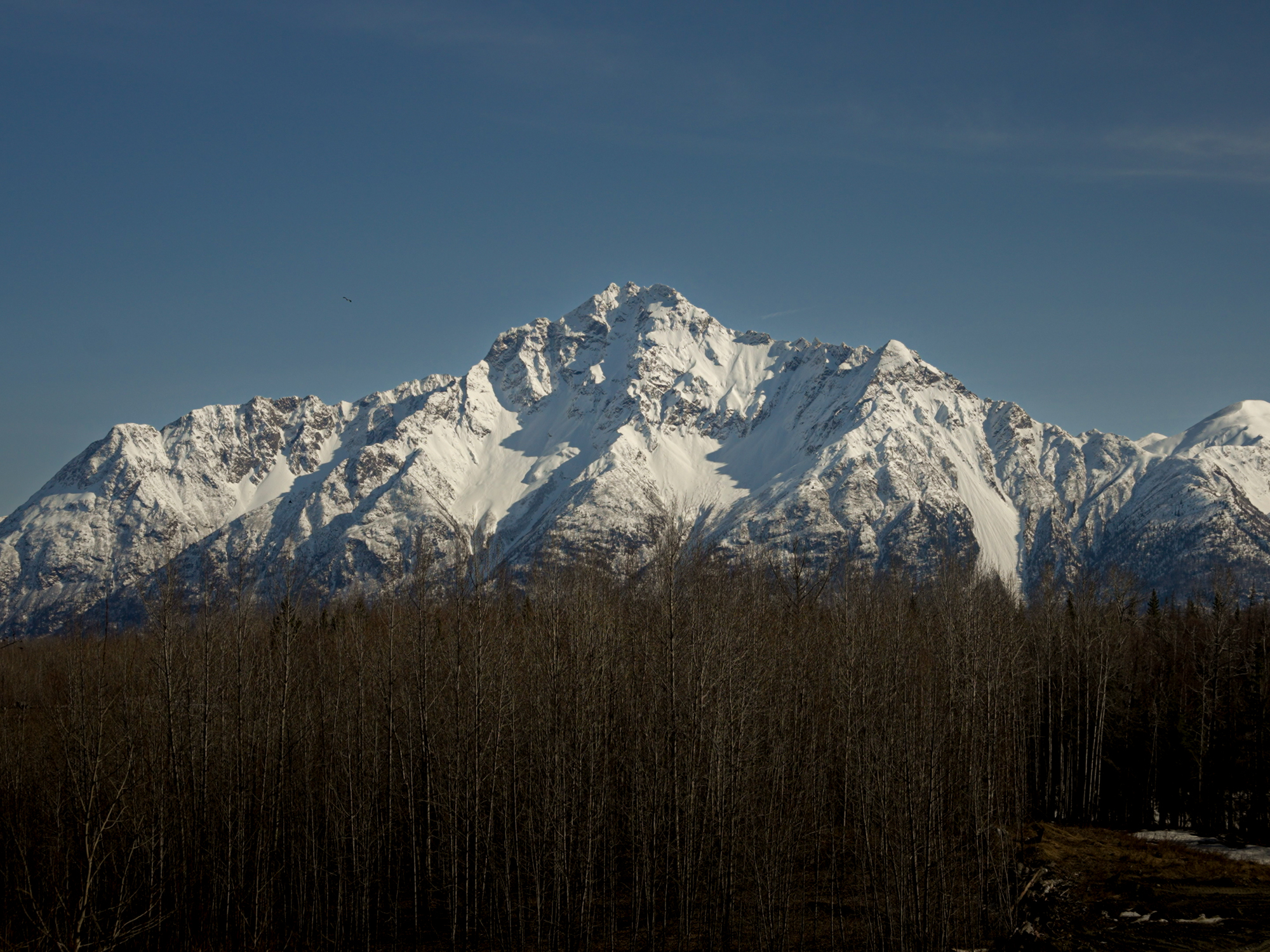 FIFTY+: Pioneer Peak | onX Backcountry