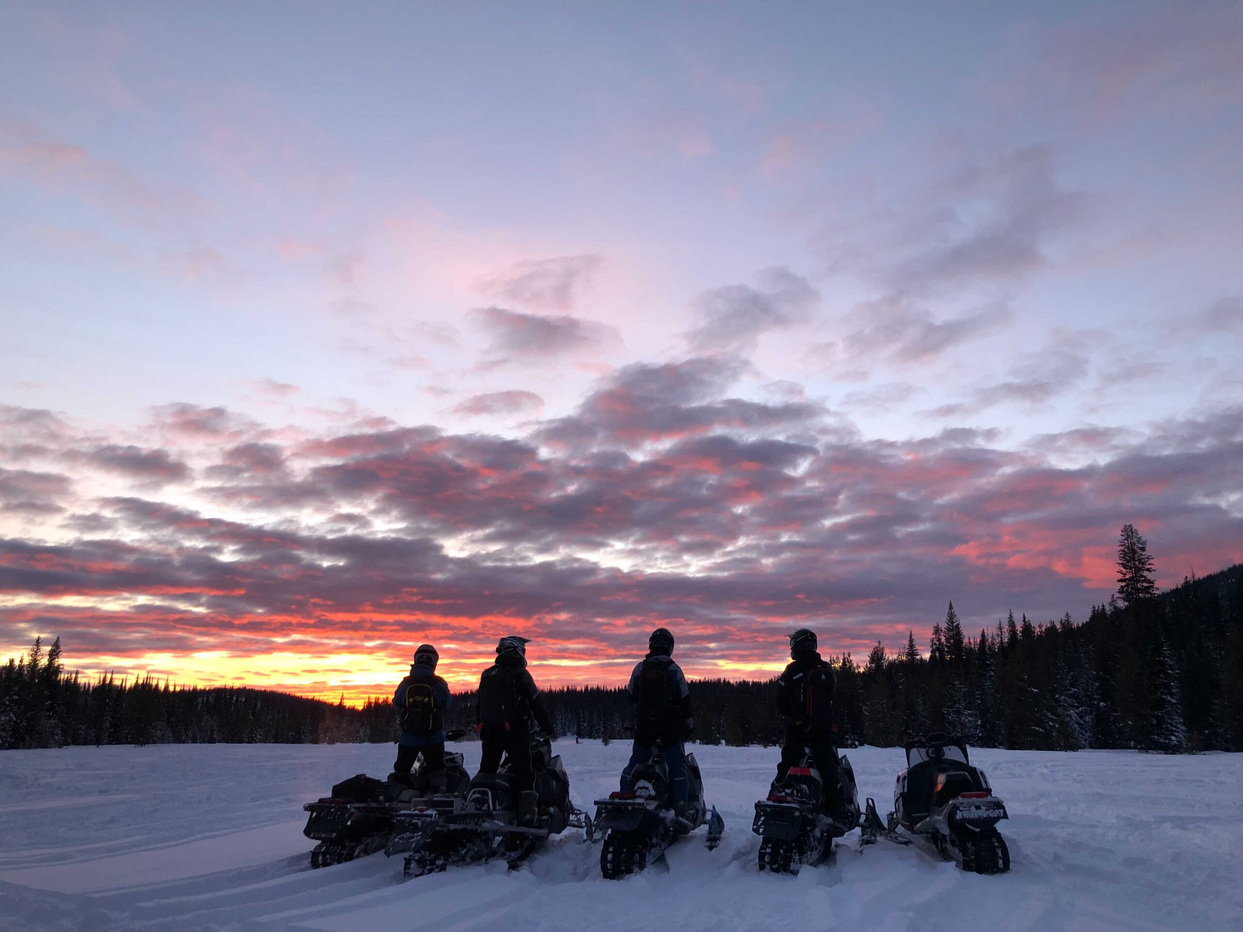 2023 Beginner’s Guide to Snowmobiling - Top Tips, Trips, & Gear