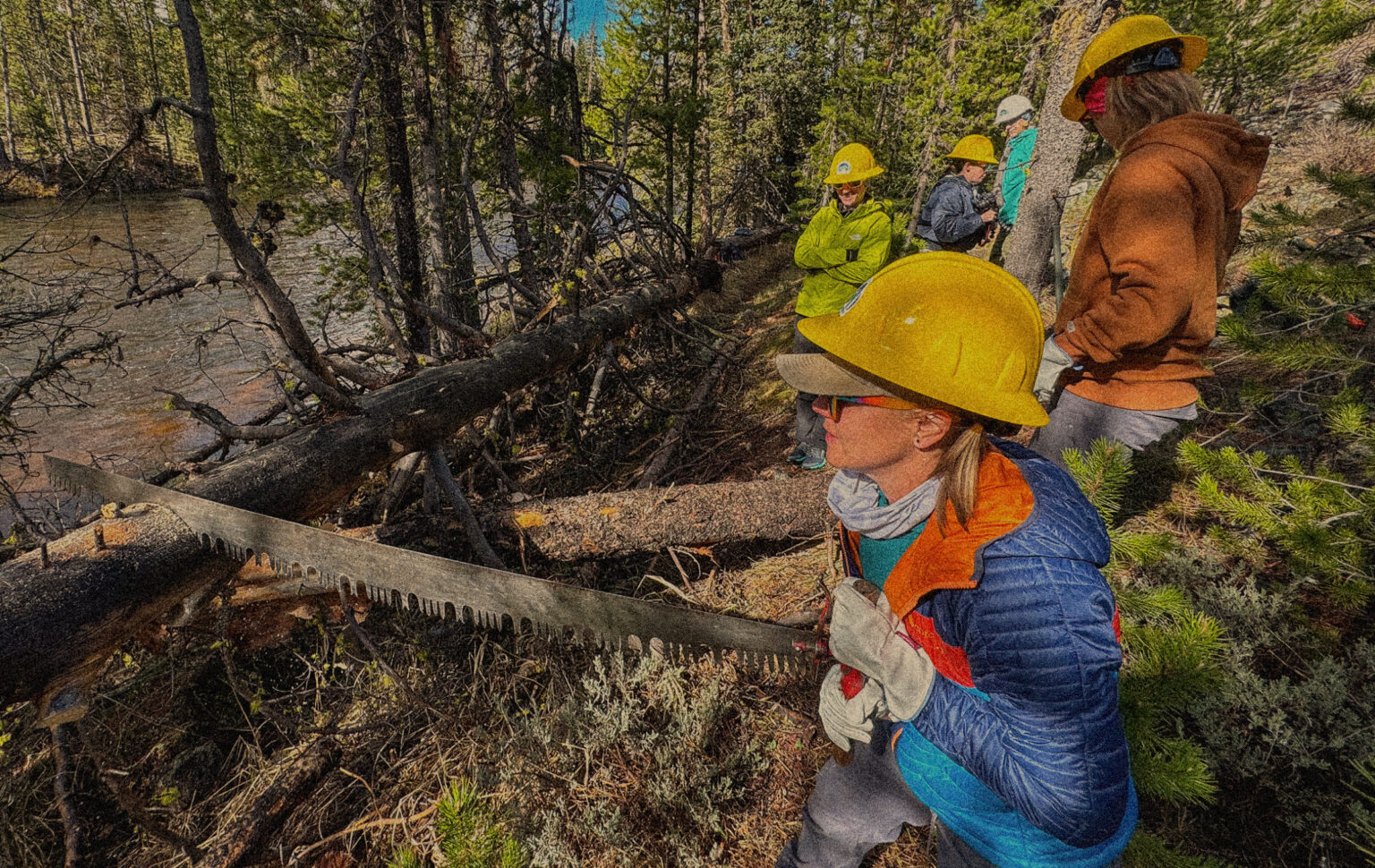 Black Lake & Boomers Roost Trail Revival Project | onX Offroad